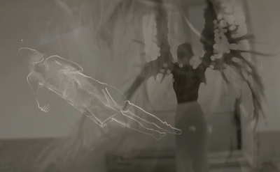 Festival International Signs of the Night 2019